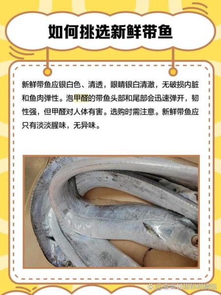 带鱼价格是多少钱一斤_2024年最新行情-第3张图片-山城妙识 带鱼价格是多少钱一斤_2024年最新行情-第3张图片-山城妙识