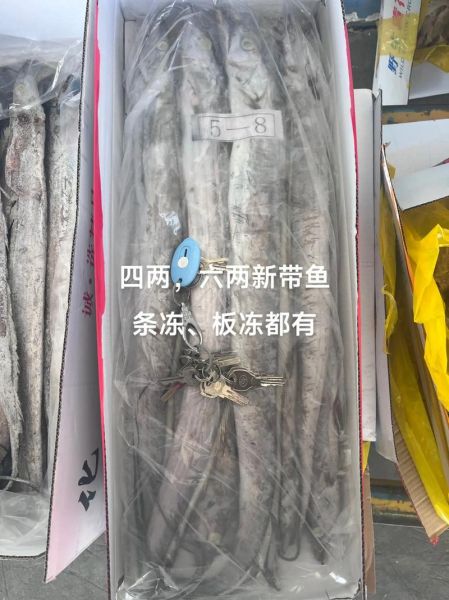 带鱼价格是多少钱一斤_2024年最新行情-第2张图片-山城妙识 带鱼价格是多少钱一斤_2024年最新行情-第2张图片-山城妙识