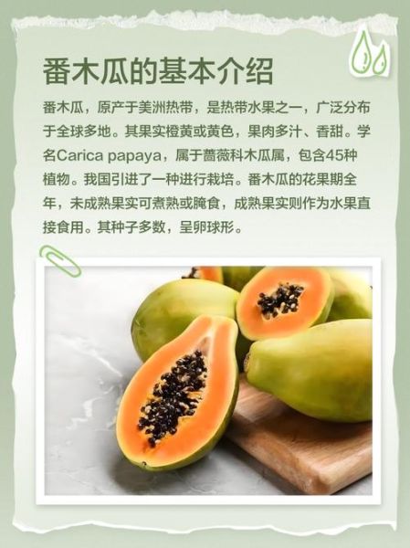 番木瓜和木瓜的区别_哪个更营养-第1张图片-山城妙识