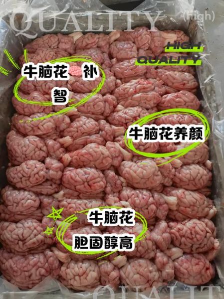 牛脑怎么做才好吃_牛脑的营养价值有哪些-第2张图片-山城妙识 牛脑怎么做才好吃_牛脑的营养价值有哪些-第2张图片-山城妙识