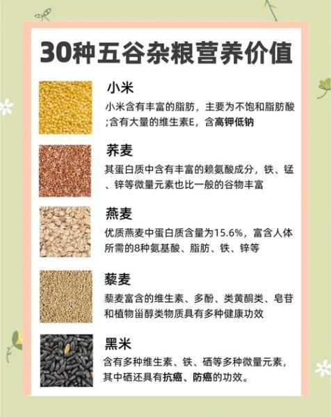 五谷养生粉配方大全_五谷养生粉怎么搭配-第1张图片-山城妙识