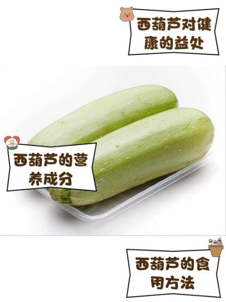 角瓜怎么做好吃_角瓜的营养价值-第1张图片-山城妙识 角瓜怎么做好吃_角瓜的营养价值-第1张图片-山城妙识