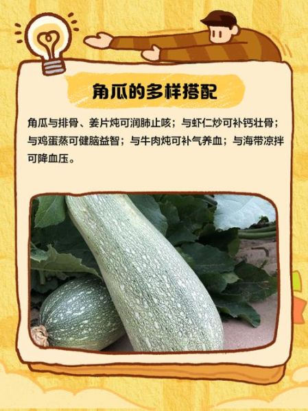 角瓜怎么做好吃_角瓜的营养价值-第3张图片-山城妙识 角瓜怎么做好吃_角瓜的营养价值-第3张图片-山城妙识