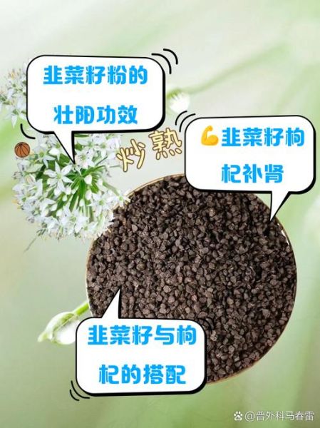 韭菜的功效与作用有哪些_韭菜壮阳是真的吗-第1张图片-山城妙识