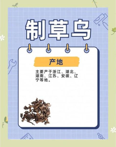 草乌的功效与作用_草乌的毒副作用有哪些-第2张图片-山城妙识 草乌的功效与作用_草乌的毒副作用有哪些-第2张图片-山城妙识