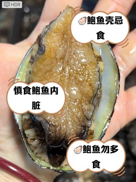 鲍鱼哪些部位不能吃_怎么处理最安全-第1张图片-山城妙识