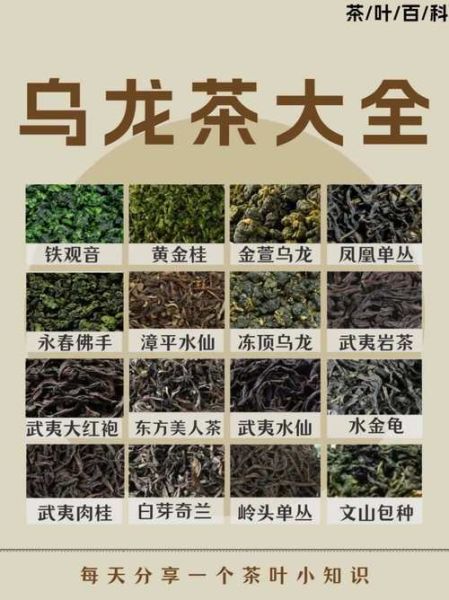 乌龙茶有哪些品种排名_哪种乌龙茶最好喝-第2张图片-山城妙识 乌龙茶有哪些品种排名_哪种乌龙茶最好喝-第2张图片-山城妙识