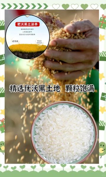 五常大米哪里正宗_五常大米怎么选-第2张图片-山城妙识 五常大米哪里正宗_五常大米怎么选-第2张图片-山城妙识