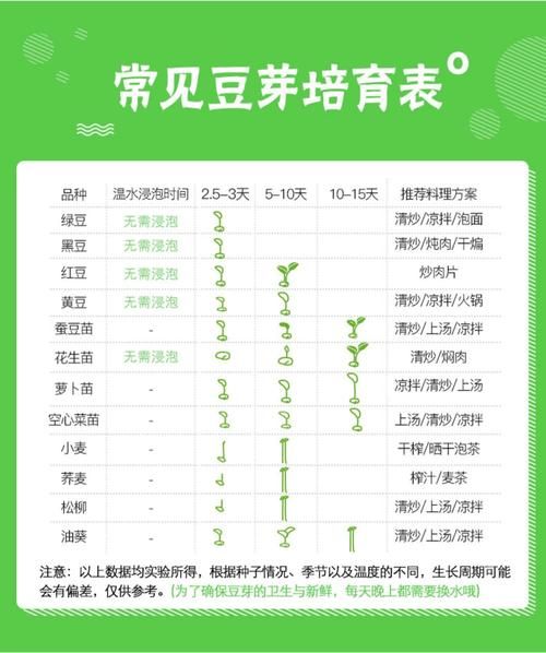 豆芽生产新技术配方_如何提升产量与品质-第2张图片-山城妙识