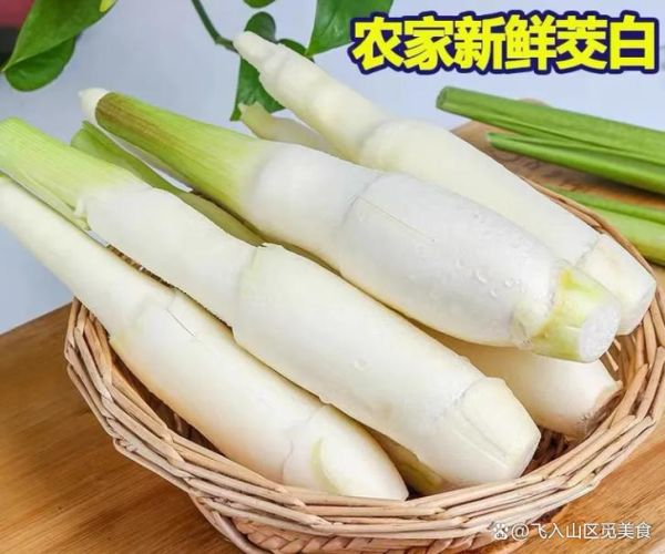 茭白有什么营养价值_茭白热量高吗-第3张图片-山城妙识