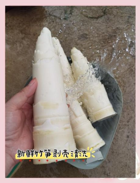 鲜竹笋怎么做成干竹笋_干竹笋制作步骤-第2张图片-山城妙识