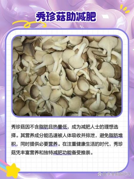 秀珍菇的营养价值_秀珍菇怎么吃最营养-第1张图片-山城妙识 秀珍菇的营养价值_秀珍菇怎么吃最营养-第1张图片-山城妙识