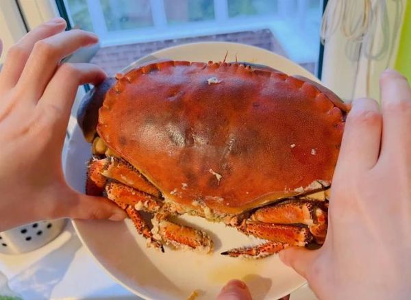 面包蟹怎么蒸_面包蟹清蒸几分钟-第1张图片-山城妙识 面包蟹怎么蒸_面包蟹清蒸几分钟-第1张图片-山城妙识