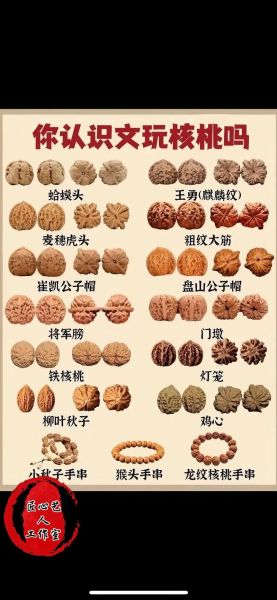 文玩核桃品种有哪些_如何挑选核桃文玩-第3张图片-山城妙识 文玩核桃品种有哪些_如何挑选核桃文玩-第3张图片-山城妙识