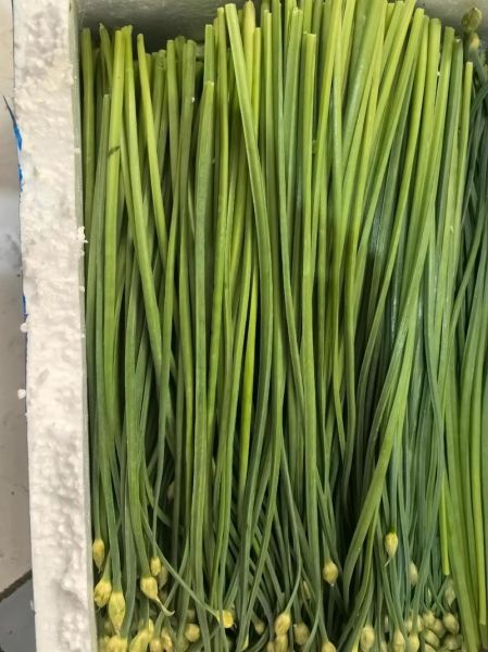 韭菜花酱怎么保存不变色_自制韭菜花酱视频教程-第2张图片-山城妙识 韭菜花酱怎么保存不变色_自制韭菜花酱视频教程-第2张图片-山城妙识