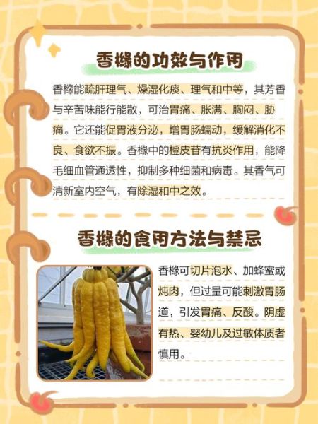 香橼怎么吃_香橼的吃法与禁忌-第2张图片-山城妙识