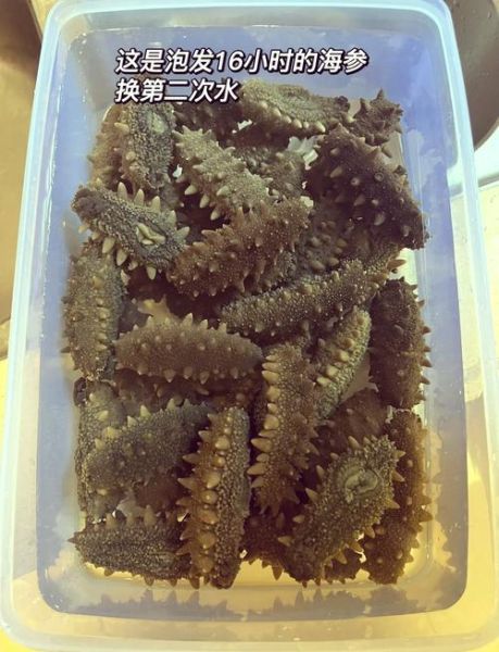 干海参如何泡发正确_干海参泡发多久才最好-第1张图片-山城妙识