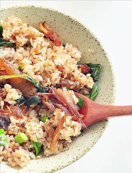 豆豉鲮鱼炒饭怎么做_豆豉鲮鱼炒饭热量高吗-第2张图片-山城妙识