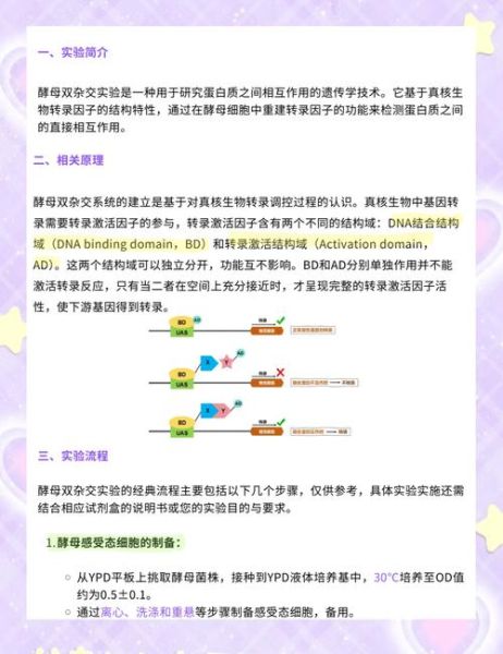 酵母双杂交实验原理_酵母双杂交常见问题-第3张图片-山城妙识