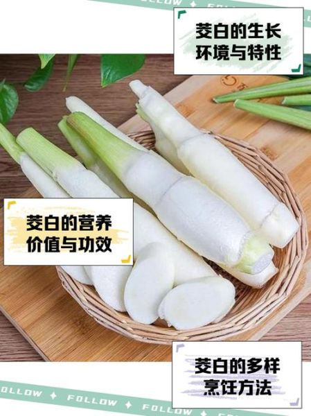 冬笋图片是茭白吗_冬笋和茭白区别-第2张图片-山城妙识 冬笋图片是茭白吗_冬笋和茭白区别-第2张图片-山城妙识