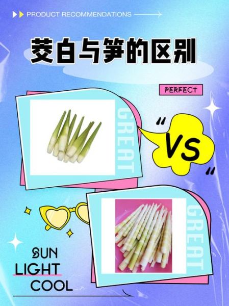 冬笋图片是茭白吗_冬笋和茭白区别-第1张图片-山城妙识 冬笋图片是茭白吗_冬笋和茭白区别-第1张图片-山城妙识