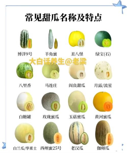 瓜类图片大全大图_如何快速识别常见品种-第1张图片-山城妙识 瓜类图片大全大图_如何快速识别常见品种-第1张图片-山城妙识