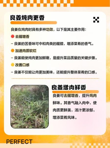 良姜炖肉起什么作用_良姜炖肉的功效与禁忌-第1张图片-山城妙识