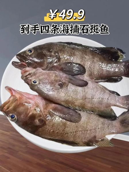 巨石斑鱼多少钱一斤_巨石斑鱼怎么做好吃-第3张图片-山城妙识