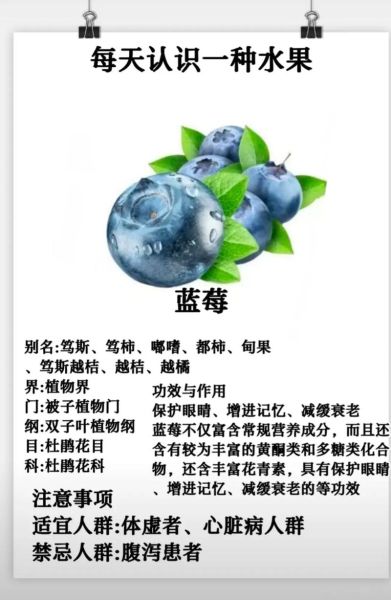 蓝莓的营养价值有哪些_蓝莓的功效与作用-第3张图片-山城妙识