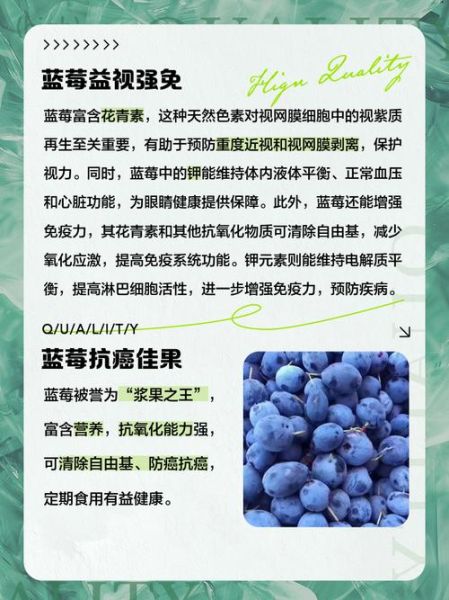 蓝莓的营养价值有哪些_蓝莓的功效与作用-第2张图片-山城妙识