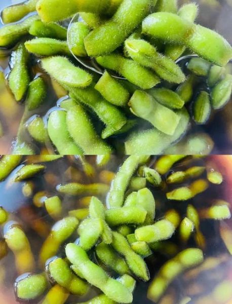 毛豆煮多久口感最好_毛豆煮几分钟最嫩-第3张图片-山城妙识 毛豆煮多久口感最好_毛豆煮几分钟最嫩-第3张图片-山城妙识