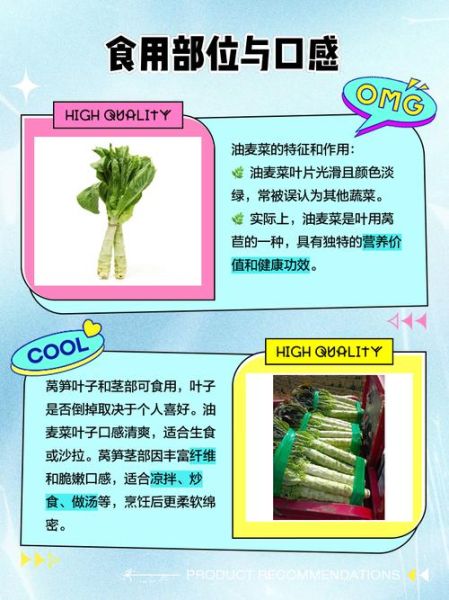 莴苣和莴笋的区别_莴苣是莴笋吗-第1张图片-山城妙识