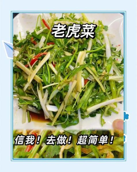 东北老虎菜怎么做好吃_家常老虎菜做法步骤-第1张图片-山城妙识 东北老虎菜怎么做好吃_家常老虎菜做法步骤-第1张图片-山城妙识