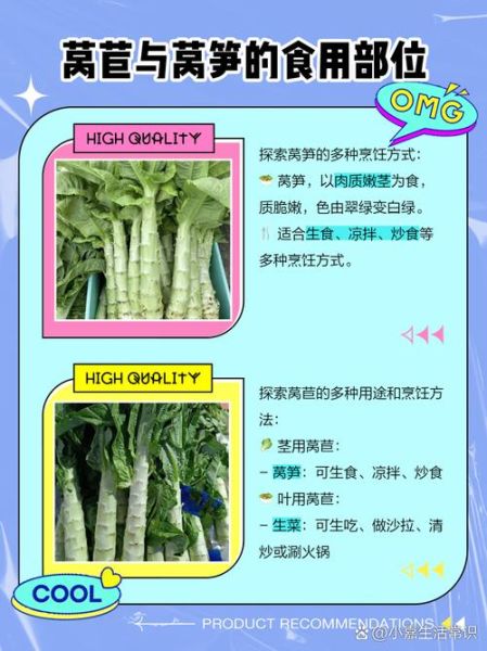 莴苣和莴笋的区别_莴苣是莴笋吗-第2张图片-山城妙识