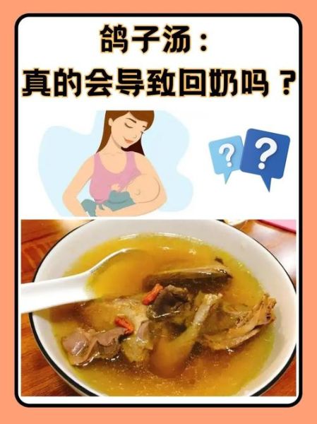 鸽子汤会回奶吗_哺乳期能不能喝鸽子汤-第1张图片-山城妙识