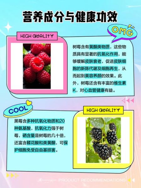 红树莓和黑树莓的功效区别_哪个营养价值更高-第1张图片-山城妙识 红树莓和黑树莓的功效区别_哪个营养价值更高-第1张图片-山城妙识