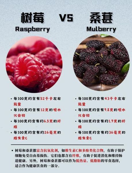 红树莓和黑树莓的功效区别_哪个营养价值更高-第2张图片-山城妙识 红树莓和黑树莓的功效区别_哪个营养价值更高-第2张图片-山城妙识