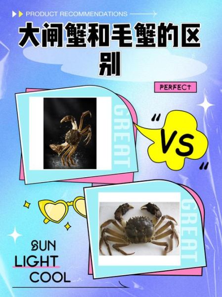 毛蟹是大闸蟹吗_两者区别与选购指南-第1张图片-山城妙识