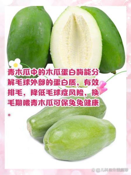青木瓜粉的功效与作用_怎么吃才有效-第3张图片-山城妙识 青木瓜粉的功效与作用_怎么吃才有效-第3张图片-山城妙识
