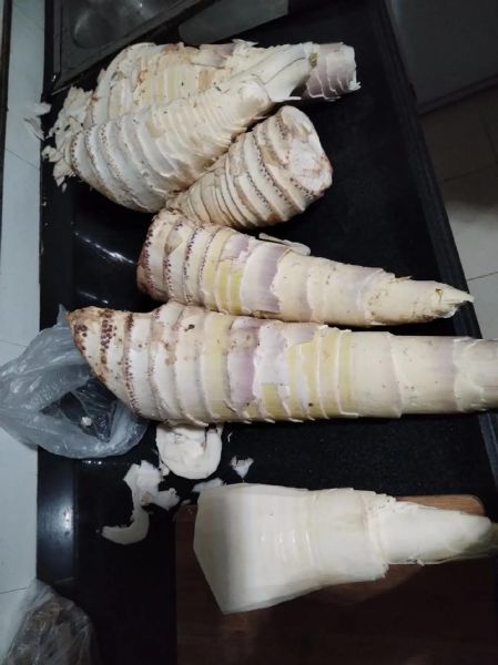 腌新鲜竹笋怎么腌制_竹笋腌制多久可以吃-第2张图片-山城妙识 腌新鲜竹笋怎么腌制_竹笋腌制多久可以吃-第2张图片-山城妙识