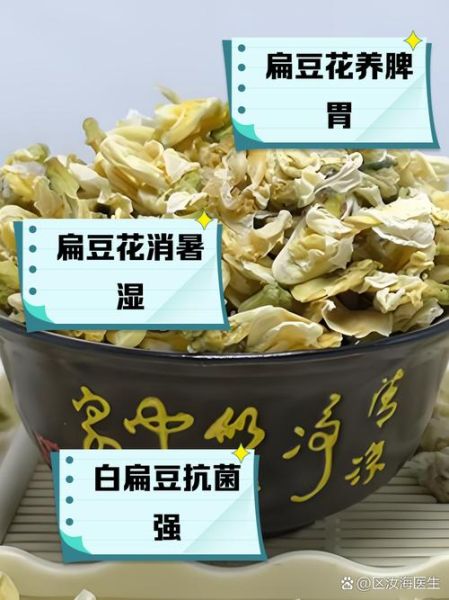 白扁豆花有什么功效_白扁豆花怎么泡水喝-第1张图片-山城妙识