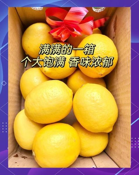 柠檬视频怎么下载_柠檬视频安全吗-第3张图片-山城妙识 柠檬视频怎么下载_柠檬视频安全吗-第3张图片-山城妙识