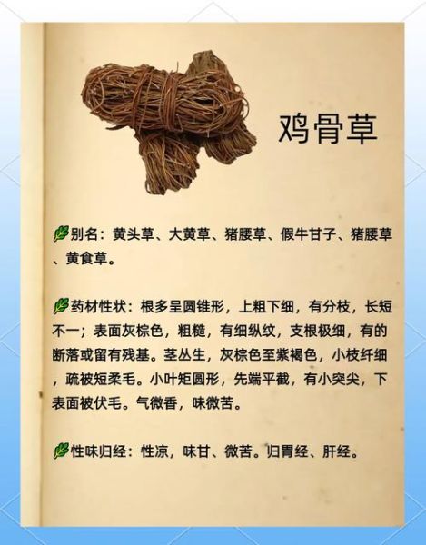 野生鸡骨草长什么样_鸡骨草与含羞草区别-第2张图片-山城妙识 野生鸡骨草长什么样_鸡骨草与含羞草区别-第2张图片-山城妙识