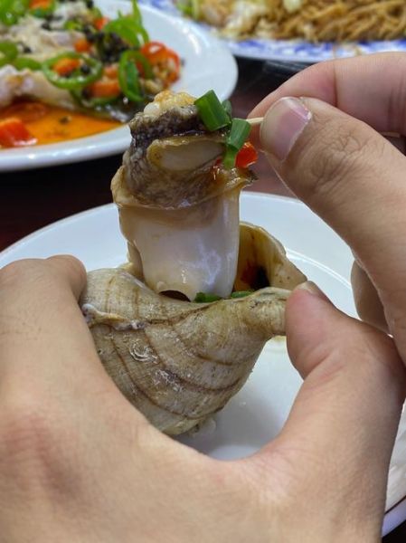 海螺丝怎么清洗_海螺丝怎么做好吃-第3张图片-山城妙识