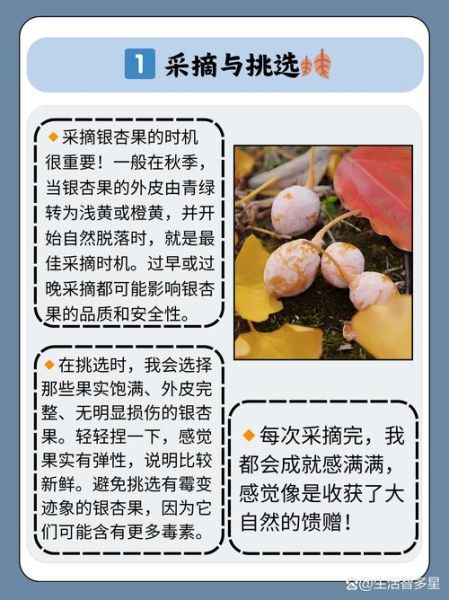 白果中毒多久消失_白果中毒症状几天能好-第1张图片-山城妙识