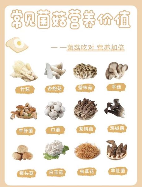 蘑菇的营养价值及功效与作用_蘑菇怎么吃最营养-第1张图片-山城妙识