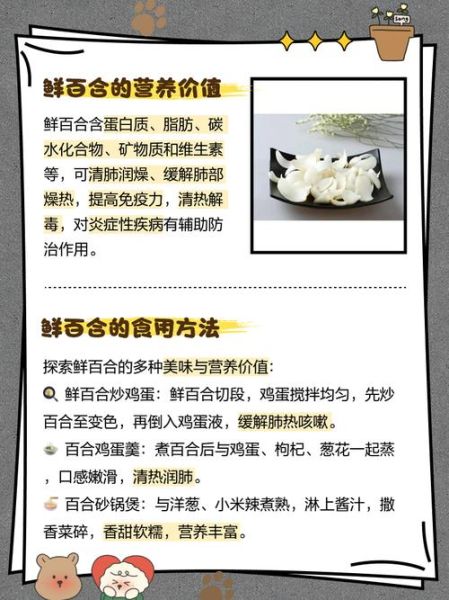 鲜百合一次吃多少为宜_鲜百合吃多了会怎样-第1张图片-山城妙识