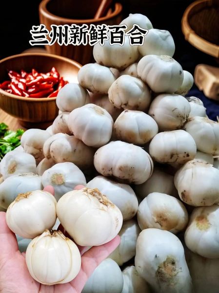 鲜百合一次吃多少为宜_鲜百合吃多了会怎样-第2张图片-山城妙识