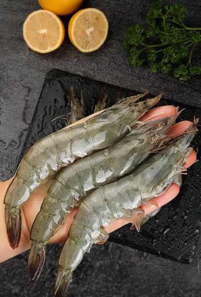 青岛大虾多少钱一斤_青岛海鲜市场价格-第3张图片-山城妙识 青岛大虾多少钱一斤_青岛海鲜市场价格-第3张图片-山城妙识