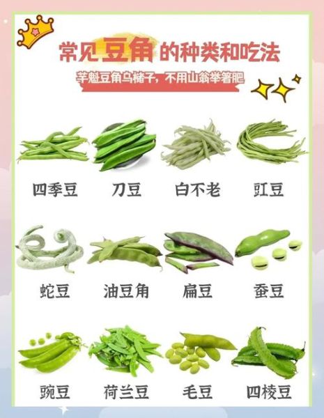 减肥为什么不能吃豆角_豆角减肥禁忌-第3张图片-山城妙识